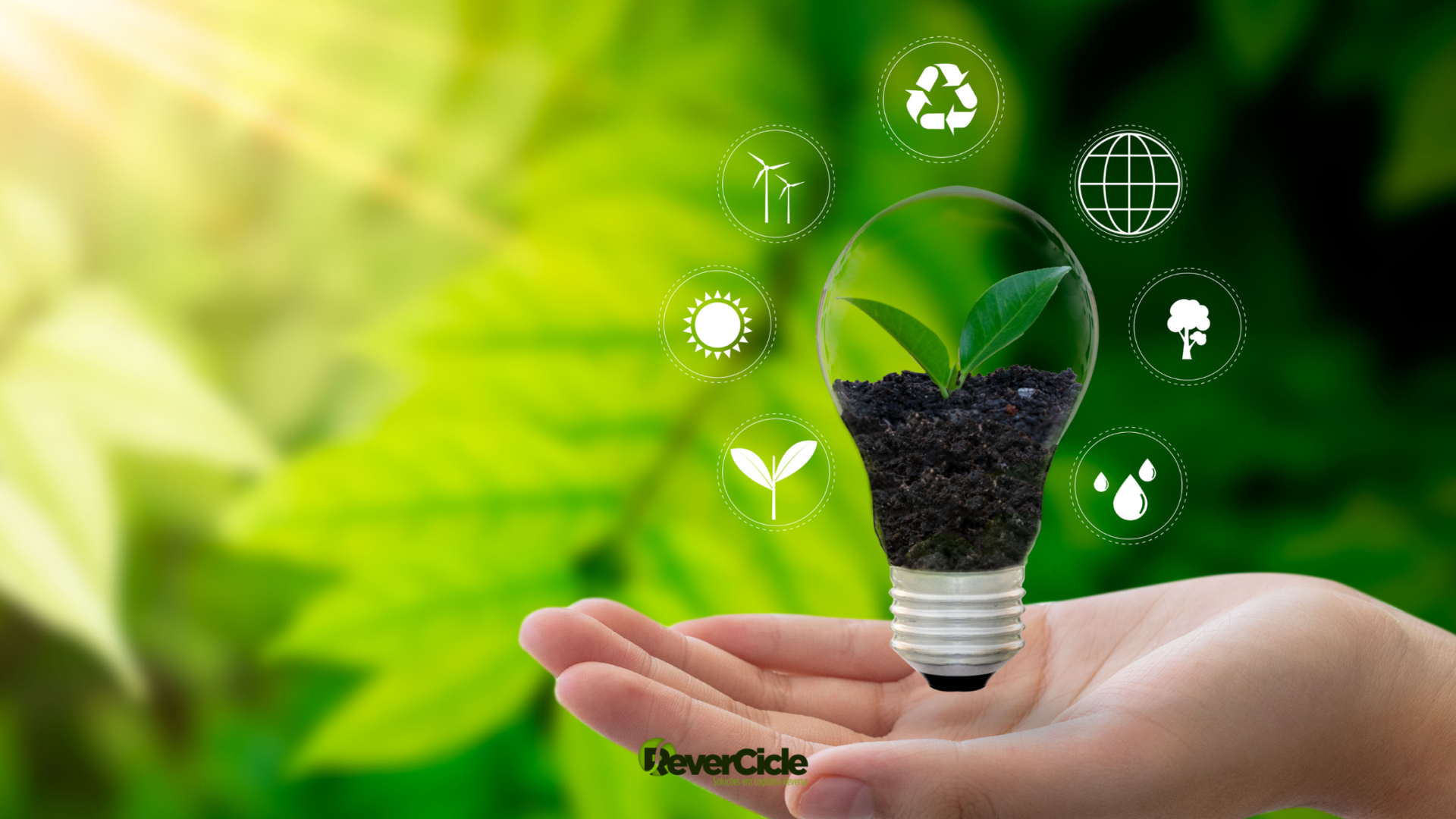 5 Dicas para Reduzir o Impacto Ambiental dos Resíduos Eletrônicos - BLOG